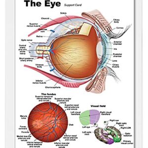 Eye Insert clipboard