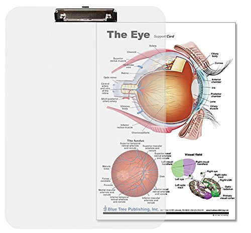 Eye Insert clipboard