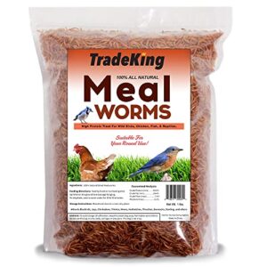 tradeking 1 lb dried mealworms - high protein treat for wild birds, chicken, fish & reptiles