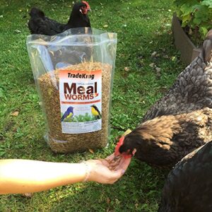 TradeKing 1 lb Dried Mealworms - High Protein Treat for Wild Birds, Chicken, Fish & Reptiles