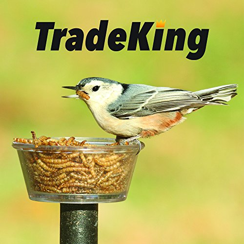 TradeKing 1 lb Dried Mealworms - High Protein Treat for Wild Birds, Chicken, Fish & Reptiles