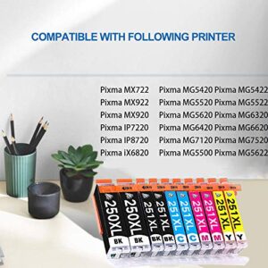 Wolfgray 10 Packs (2Large BK+2BK+2C+2M+2Y) Compatible Ink Cartridge PGI-250XL CLI-251XL 250xl 251xl Works for PIXMA MX922 MG5522 MG5620 MG6620 MG6600 MX920 iX6820 iP7220 (2Set)