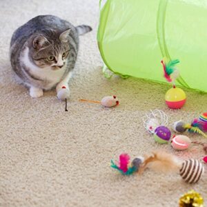 Youngever 24 Cat Toys Kitten Toys Assortments, Tunnel, Interactive Cat Teaser, Fluffy Mouse, Crinkle Balls for Cat, Kitty, Kitten