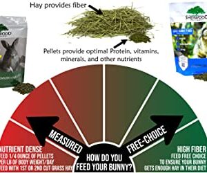 Adult Rabbit Food Alfalfa Timothy Hay-Based Blend 20 lbs, Grain and Soy-Free for Better Digestion