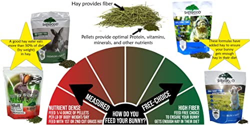 Adult Rabbit Food Alfalfa Timothy Hay-Based Blend 20 lbs, Grain and Soy-Free for Better Digestion