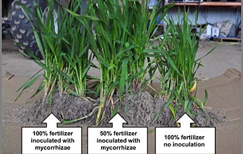 Wildroot Organic Mycorrhizae 16 Species Mycorrhizal Inoculant Drought Proof’s Plants &Trees, Saves Water & Precious Fertilizer, Root Stimulator Explodes Root Growth (1oz - 211 Plants)