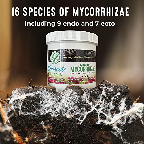 Wildroot Organic Mycorrhizae 16 Species Mycorrhizal Inoculant Drought Proof’s Plants &Trees, Saves Water & Precious Fertilizer, Root Stimulator Explodes Root Growth (1oz - 211 Plants)