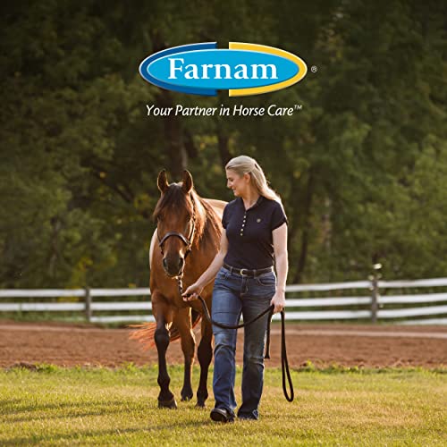 Farnam Endure Sweat-Resistant Horse Fly Spray, 14-Day Long Lasting Protection, 15 Ounces