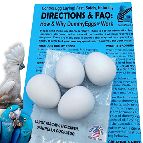 DummyEggs 4 Large Parrot Dummy Eggs Control Breeding & Laying! Realistic Macaw, Hyacinth, Cockatoo. Solid Non-Toxic Premium Plastic Fake Bird Eggs. 1-7/8" x 1-1/2" (4.8 x 3.8cm) USA