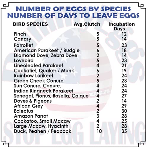 DummyEggs 4 Large Parrot Dummy Eggs Control Breeding & Laying! Realistic Macaw, Hyacinth, Cockatoo. Solid Non-Toxic Premium Plastic Fake Bird Eggs. 1-7/8" x 1-1/2" (4.8 x 3.8cm) USA