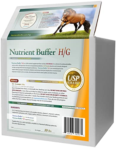 Nutrient Buffer HG - Equine Hind Gut Lower Gastric Digestive Support Formula for Horses