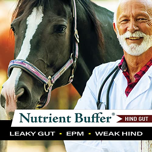 Nutrient Buffer HG - Equine Hind Gut Lower Gastric Digestive Support Formula for Horses