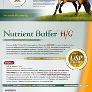 Nutrient Buffer HG - Equine Hind Gut Lower Gastric Digestive Support Formula for Horses