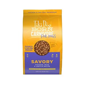 tiki dog born carnivore for dogs, savory chicken, peas & lentils recipe, grain free baked kibble for maximum nutrition, for adult dogs and all size breed dogs, 3.5 lbs bag