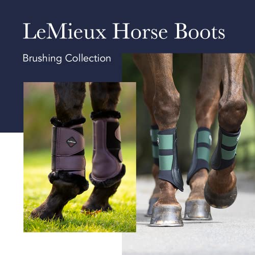 LeMieux Grafter Brushing Horse Boots - Protective Gear and Training Equipment - Equine Boots, Wraps & Accessories (Black - Large)