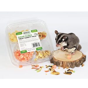 Sugar Glider Treat Variety Pack (9.5 oz.) - Healthy Natural Sugar Glider Treat Assortment - Yogurt Drops, Crunchez Berry Blend, Dried Papaya, Dried Pineapple - Sampler Variety Value Package