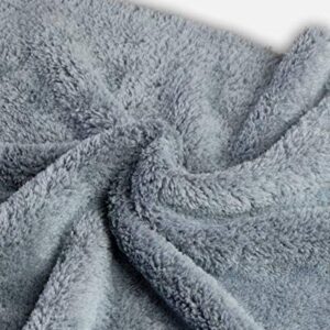 Adam's Borderless Grey Edgeless Microfiber Towel - Premium Quality 480gsm, 16 x 16 inches Plush Microfiber - Delicate Touch for The Most Delicate Surfaces