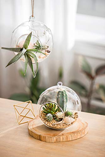 Mkono 6-Inch Hanging Glass Planter Round Air Plant Terrarium Decorations for Succulent, Tillandsia, Candle Holder, 2 Packs