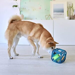 Outward Hound Puzzle Cube Interactive Squeaky Dog Toy