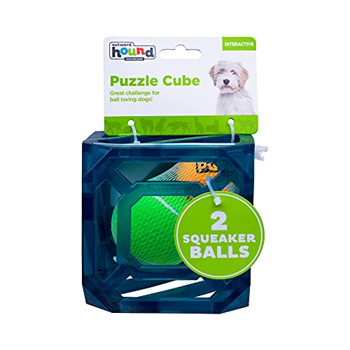 Outward Hound Puzzle Cube Interactive Squeaky Dog Toy