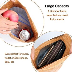 Hangnuo 2 Pack Insulated Brown Paper Lunch Bags Reusable, Retro Lunch Sacks for Adults Work Office, Brown Paper - 10" x 8" x 4.3"