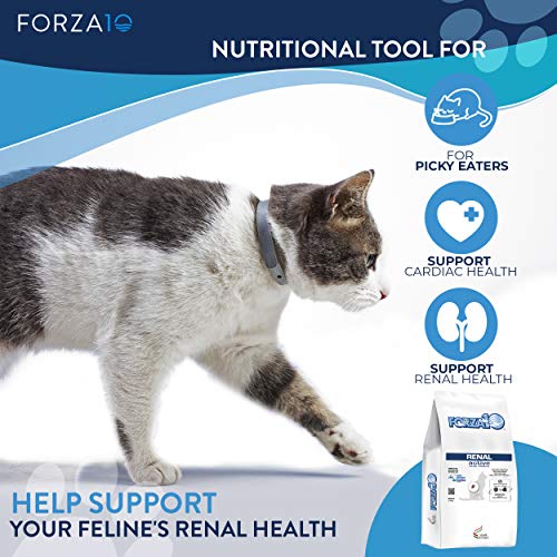 Forza10 Active Kidney Renal Diet Dry Cat Food for Adult Cats, Kidney Care Cat Food for Heart and Kidney Problems, Wild Caught Anchovy Flavor, 4 Pound Bag