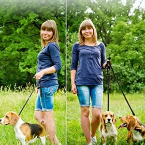 oneisall Hands Free Dog Leash,Multifunctional Dog Training Leads,8ft Nylon Double Leash for Puppy,Small & Large Dogs