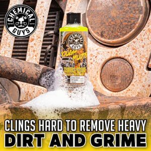 Chemical Guys CWS20264 Tough Mudder Foaming Truck, Off Road, ATV and RV Heavy Duty Wash Soap,(Works with Foam Cannons, Foam Guns or Bucket Washes), 64 fl oz (Half Gallon), Lemon Scent