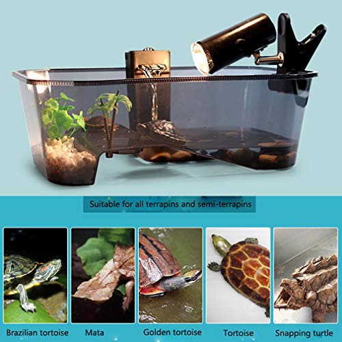 Turtle Tank Aquarium,Reptile Habitat,Turtle Habitat Terrapin Lake Reptile Aquarium Tank with Platform Plants for Crayfish Crab (Black)(Excluding Accessories