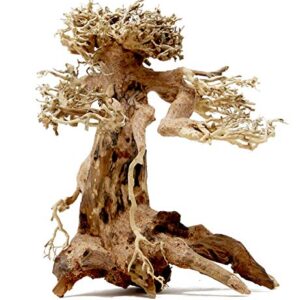 Bonsai Driftwood Aquarium Tree AM (8 Inch Height x 6 Inch Length) Natural, Handcrafted Fish Tank Decoration | Easy to Install