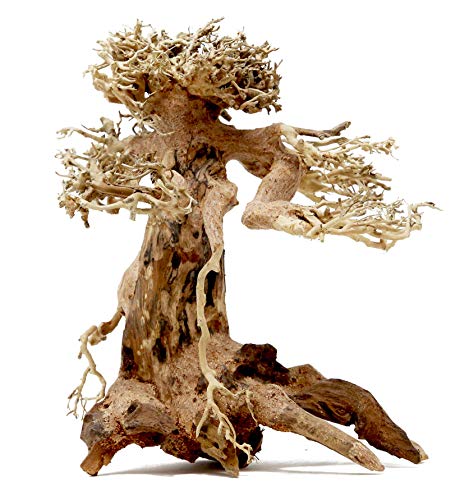 Bonsai Driftwood Aquarium Tree AM (8 Inch Height x 6 Inch Length) Natural, Handcrafted Fish Tank Decoration | Easy to Install