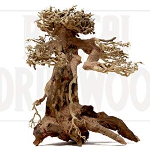 Bonsai Driftwood Aquarium Tree AM (8 Inch Height x 6 Inch Length) Natural, Handcrafted Fish Tank Decoration | Easy to Install