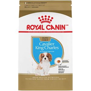 royal canin breed health nutrition cavalier king charles puppy dry dog food, 3 lb