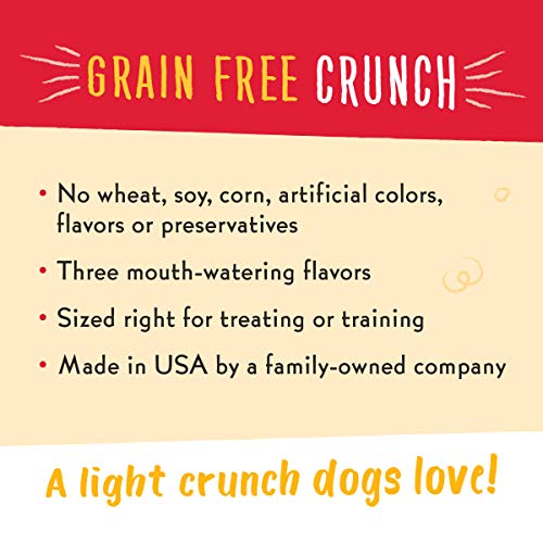 Charlee Bear Crunch Chicken, Pumpkin & Apple Flavor Dog Treat and Snack (2 Pack) 8 oz Each