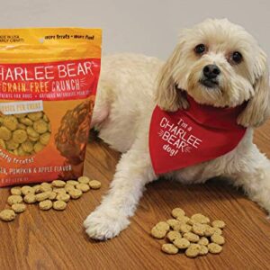 Charlee Bear Crunch Chicken, Pumpkin & Apple Flavor Dog Treat and Snack (2 Pack) 8 oz Each