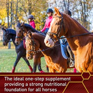 Vita Flex Pro Accel Health & Wellness Formula, Horse Supplement, 15 Pounds, 240-Day Supply