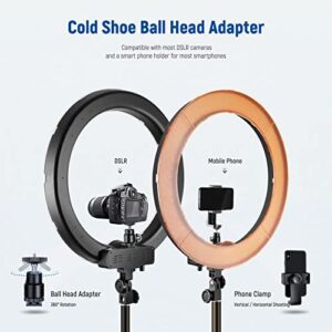 Neewer 18-inch SMD LED Ring Light Dimmable Lighting Kit with 78.7-inch Light Stand, Filter and Hot Shoe Adapter for Photo Studio LED Lighting Portrait YouTube TikTok Video Shooting (No Carrying Bag)