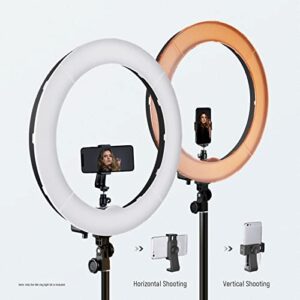 Neewer 18-inch SMD LED Ring Light Dimmable Lighting Kit with 78.7-inch Light Stand, Filter and Hot Shoe Adapter for Photo Studio LED Lighting Portrait YouTube TikTok Video Shooting (No Carrying Bag)