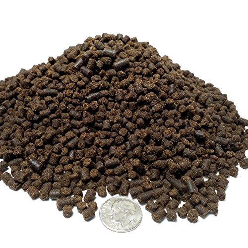 Axolotl Food Soft Moist Sinking Pellets for Axolotls, Shrimp, Snails & Tropical Fish 1/8" Rangen Salmon Sinking Pellets. Aquatic Foods Premium Tropical Fish Pellet Foods. 1-lb