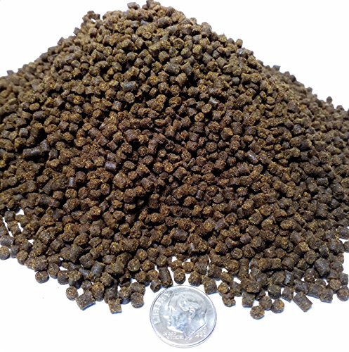 Axolotl Food Soft Moist Sinking Pellets for Axolotls, Shrimp, Snails & Tropical Fish 1/8" Rangen Salmon Sinking Pellets. Aquatic Foods Premium Tropical Fish Pellet Foods. 1-lb