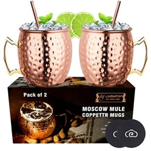 livehitop moscow mule copper mugs set of 2, copper cups 19.5 oz cocktail kit with straw coaster for wine, beer, cold drink, bar, party, gifts