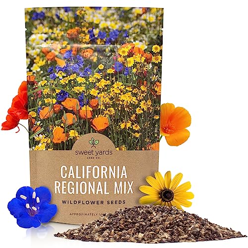 California Wildflower Mixture - Bulk 1/4 Pound Bag - Over 30,000 Native Seeds - Open Pollinated and Non GMO