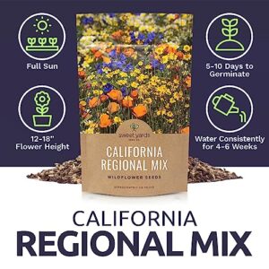 California Wildflower Mixture - Bulk 1/4 Pound Bag - Over 30,000 Native Seeds - Open Pollinated and Non GMO