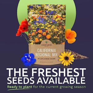 California Wildflower Mixture - Bulk 1/4 Pound Bag - Over 30,000 Native Seeds - Open Pollinated and Non GMO