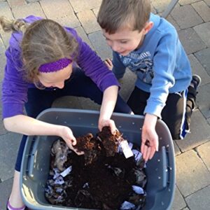 1000 Red Wigglers Composting Worms. Live WWJD worms