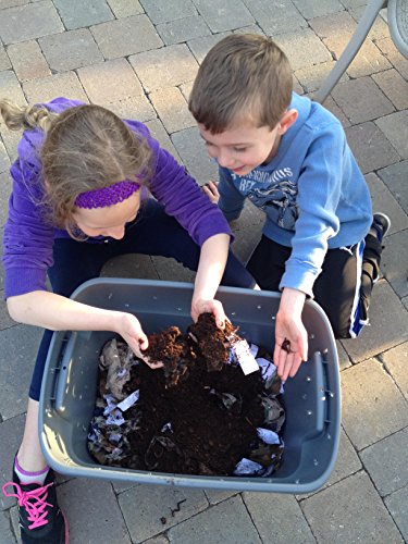 1000 Red Wigglers Composting Worms. Live WWJD worms