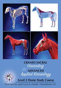 holistic horseworks level 2 equine whole body craniosacral unwinding and advanced applied kinesiology horse dvd home study course - level 1 equine musculoskeletal unwinding required