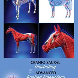 Holistic Horseworks Level 2 Equine Whole Body CranioSacral Unwinding And Advanced Applied Kinesiology Horse DVD Home Study Course - Level 1 Equine Musculoskeletal Unwinding Required