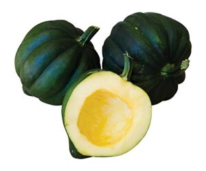 burpee early acorn hybrid winter squash seeds 25 seeds