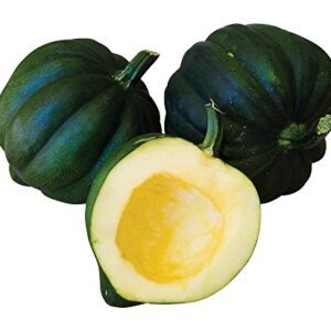 Burpee Early Acorn Hybrid Winter Squash Seeds 25 seeds